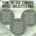 How to Use Cabbage Leaves for Engorgement, Mastitis, and Weaning