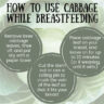 How to Use Cabbage Leaves for Engorgement, Mastitis, and Weaning