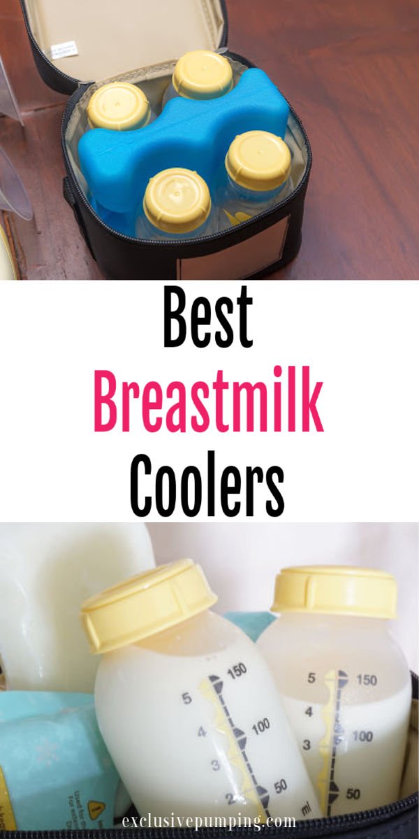 Best Breast Milk Coolers (2024 Reviews) - Exclusive Pumping