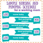 Breastfeeding and Pumping Schedule - Exclusive Pumping