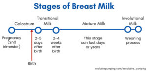 Types of Breast Milk - Exclusive Pumping